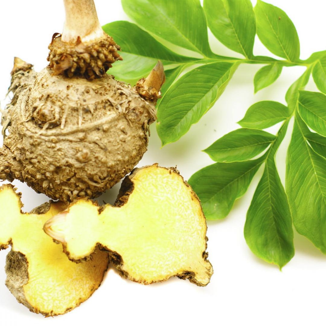 Retenedores - Gabriel Gallegos